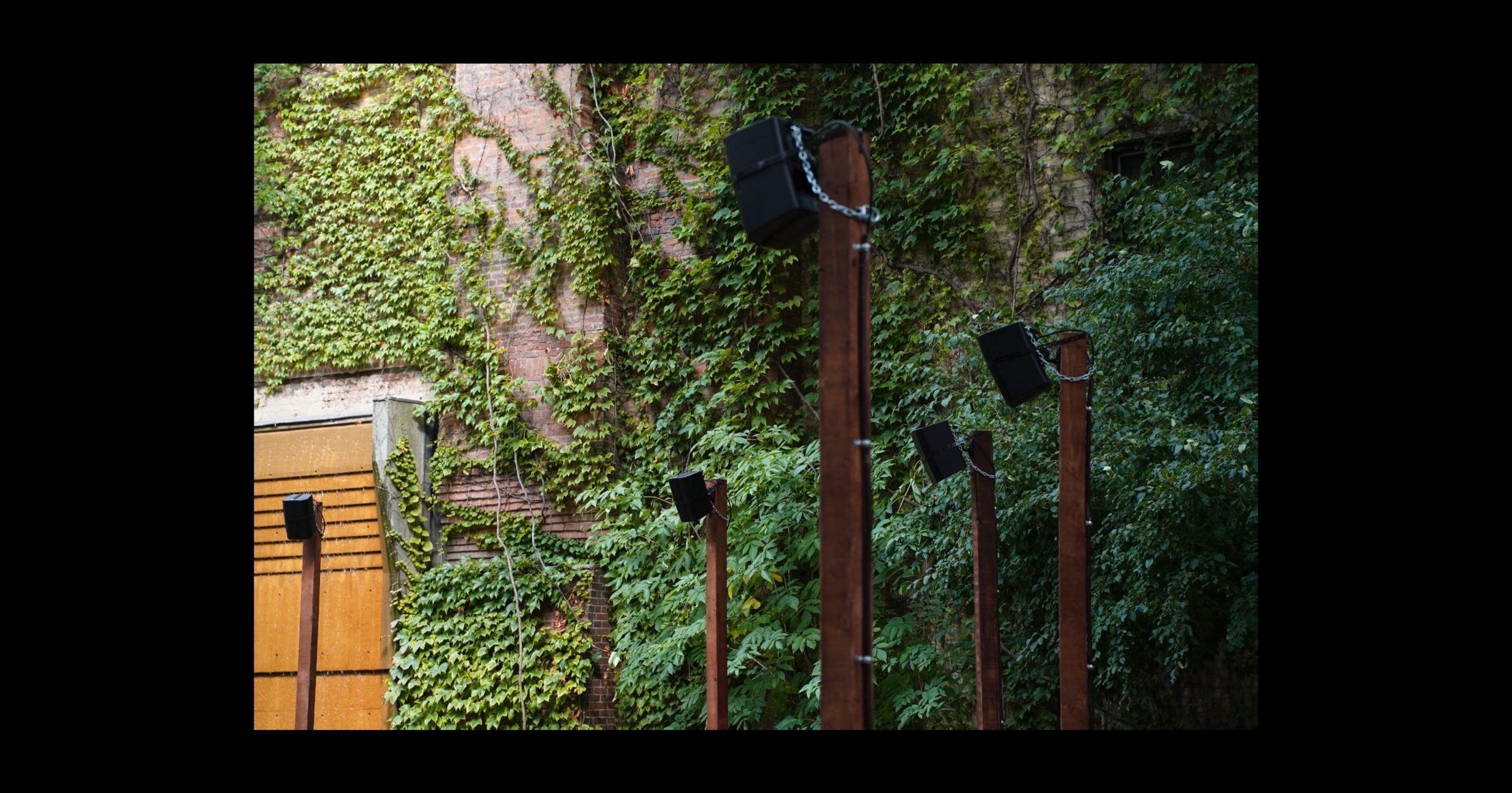 Lou Sheppard at Toronto Sculpture Garden – Toronto Biennial of Art